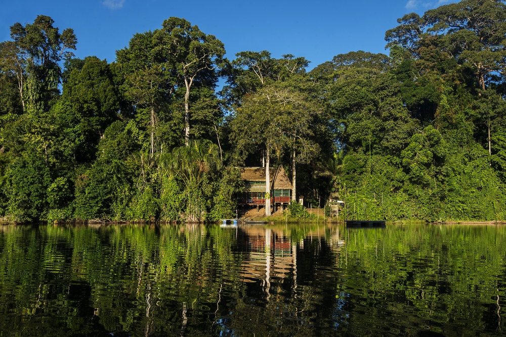 Cocha Cashu Biological Station, Manu National Park, Peru